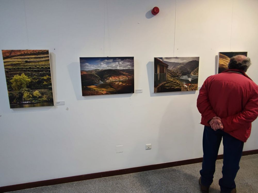 Inauguração da exposição "Rui Pires na Coleção Museu do Douro"